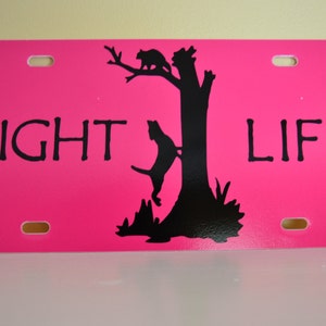 Coon Hunting License Plate - Etsy