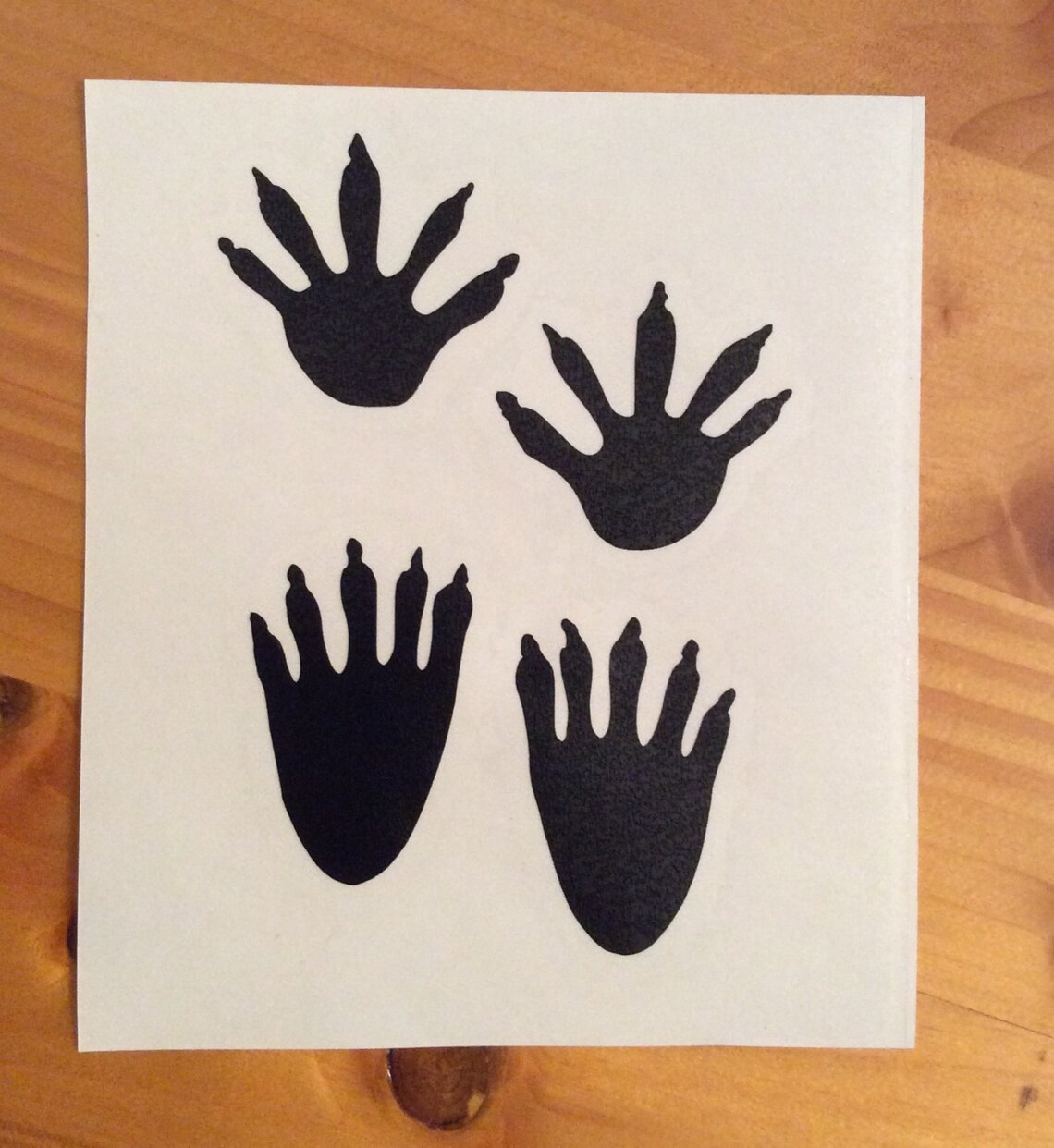 Outdoor Vinyl Coon Tracks Decal - Etsy