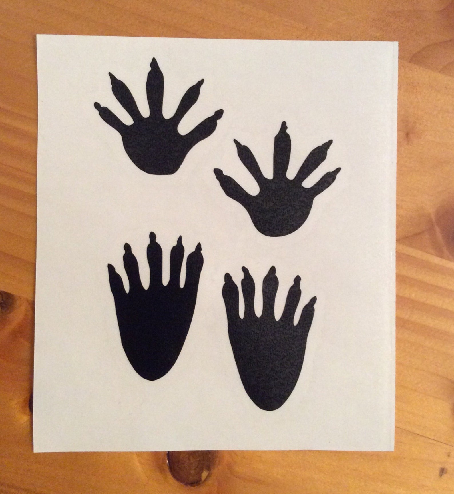 Outdoor Vinyl Coon Tracks Decal - Etsy