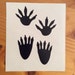 Outdoor Vinyl Coon Tracks Decal - Etsy