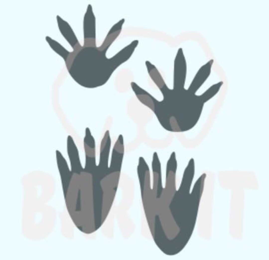 Raccoon Tracks Coon SVG, PDF, PNG, Eps, Dxf Digital Download Cut File ...