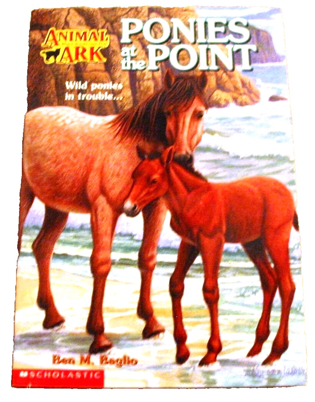 Ponies at the Point Animal Ark Series 10 Paperback by Ben M. Baglio ...