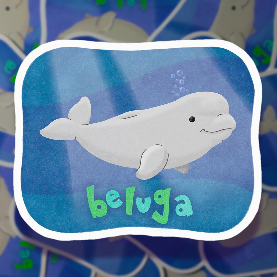 Canadian Animals Beluga Whale Vinyl Stickers - Etsy