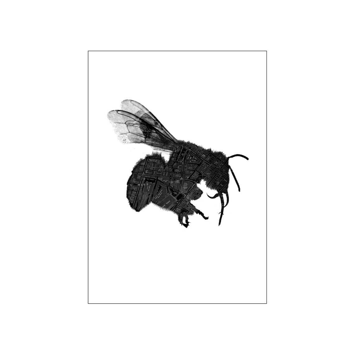 Manchester Bee Art Print - A4 Size in Black and White Featuring a ...