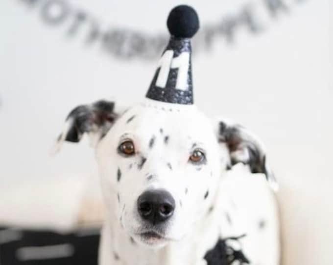 Pet Party Hat Dog Birthday Party Hat Dog Party Hat Dog - Etsy