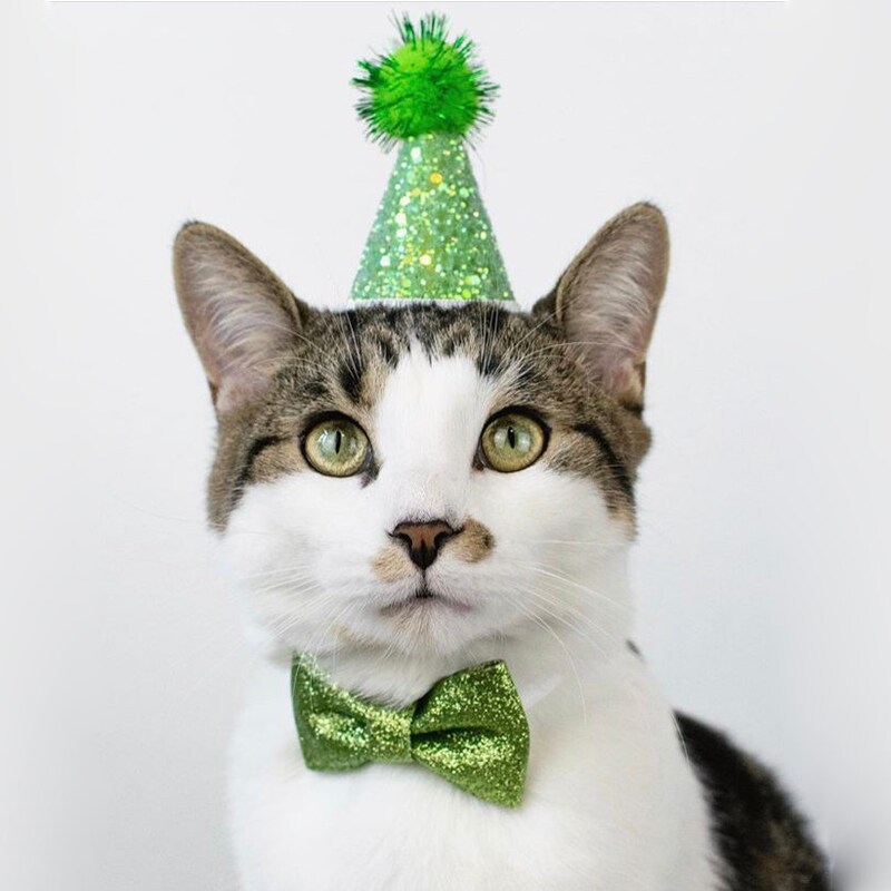 Cat Party Hats - Etsy