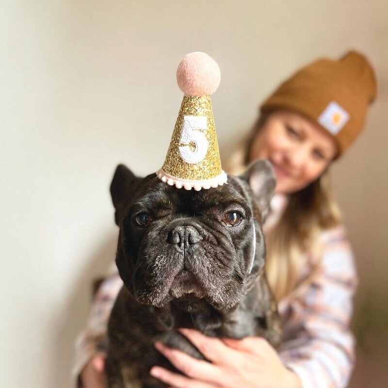 Dog Pink Birthday Hats - Etsy
