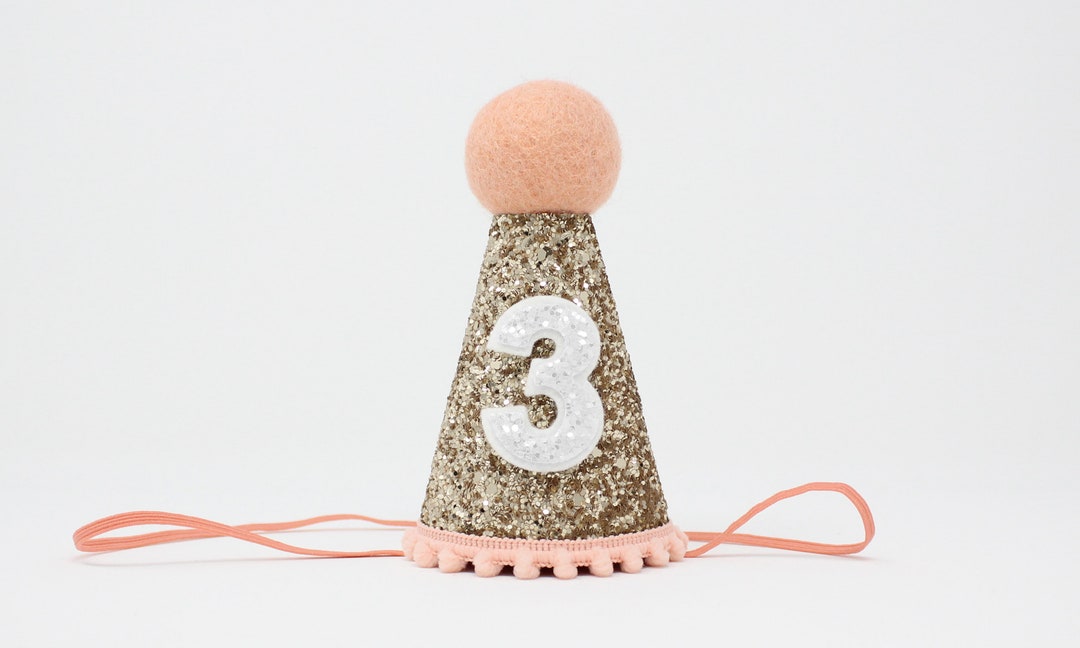 3rd Birthday Party Hat 3rd Birthday Girl Outfit 2nd Birthday Hat 3rd ...