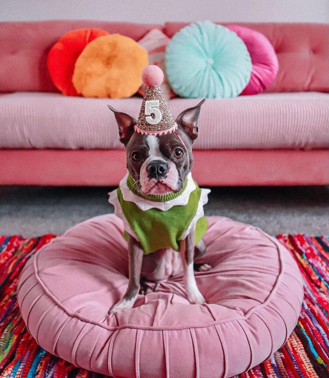 Pet Party Hat Dog Birthday Party Hat Dog Party Hat Dog Birthday Hat Cat ...