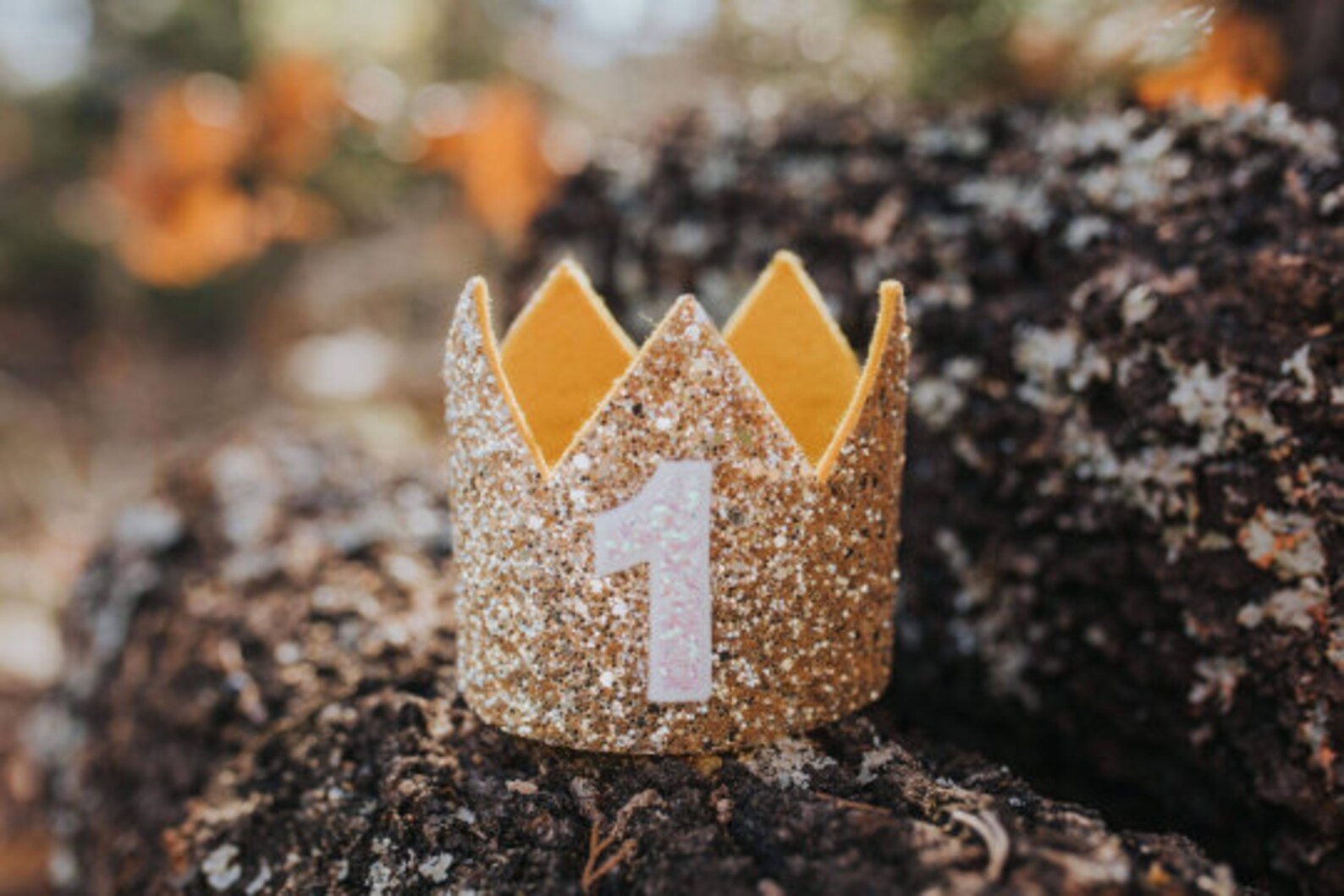 Dog Birthday Crown Pet Birthday Crown Dog Crown Pet - Etsy