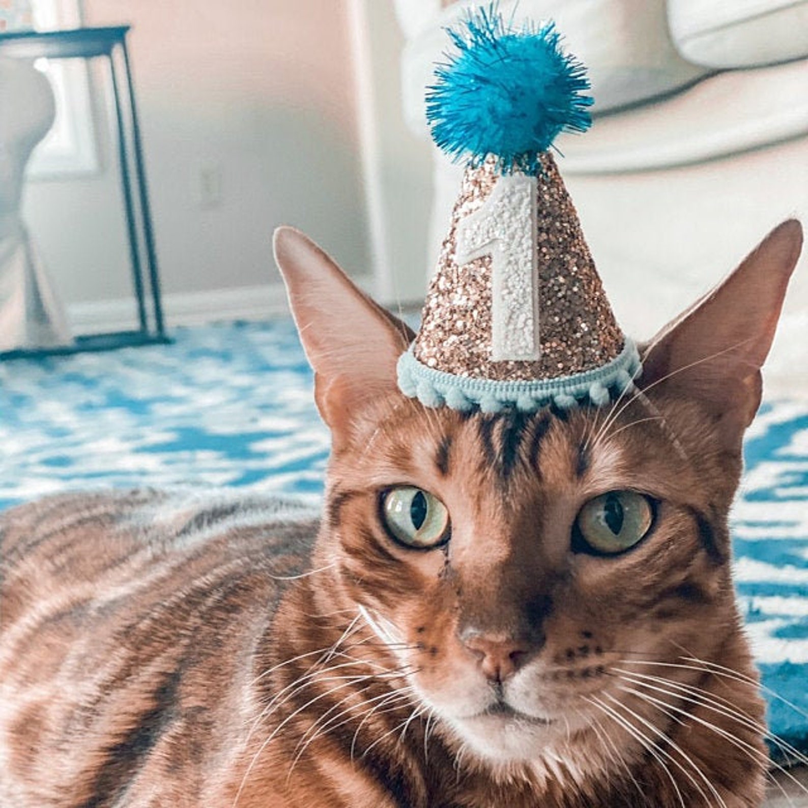 Pet Party Hat Mini Cat Birthday Party Hat Mini Cat Party - Etsy