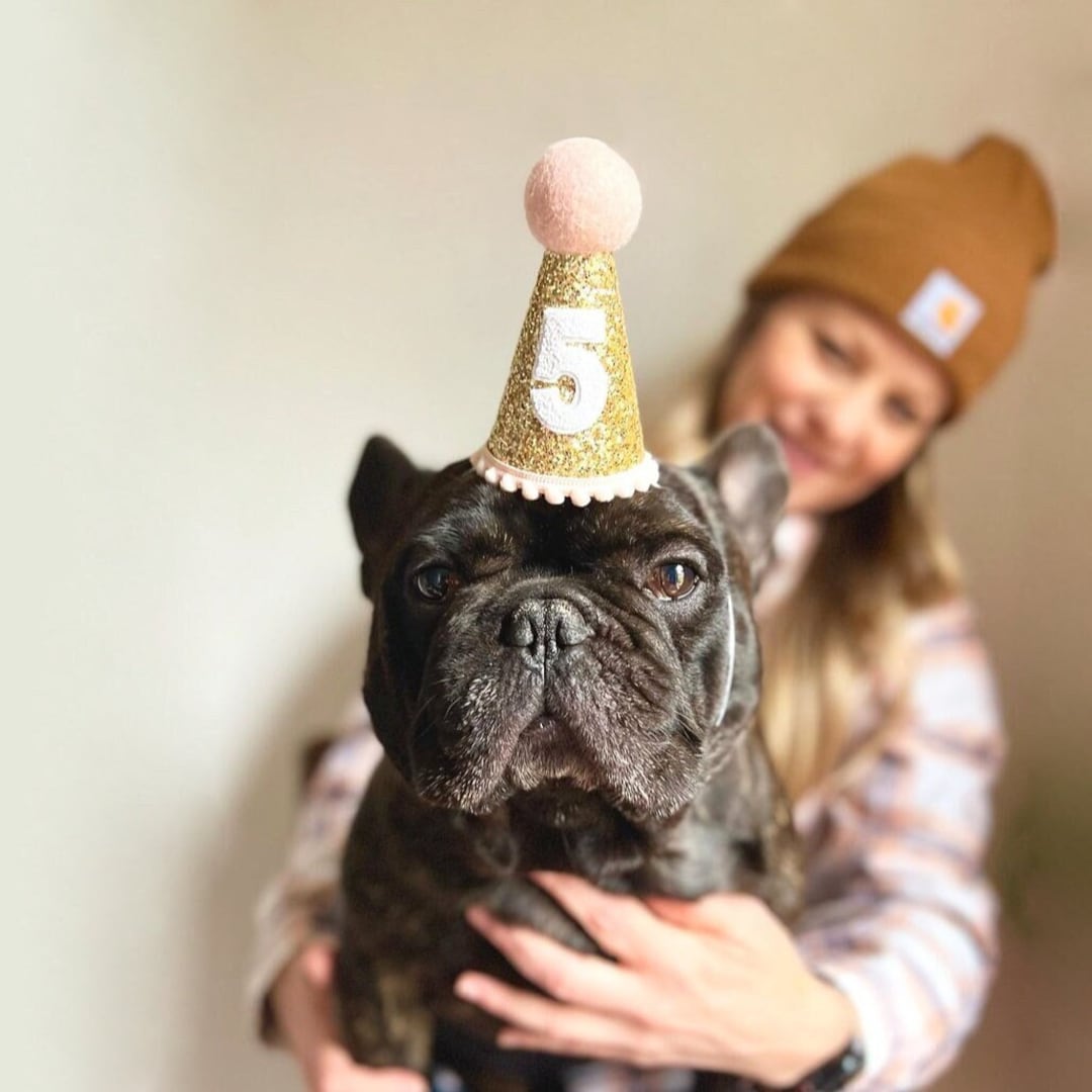 Pet Party Hat | Dog Birthday Party Hat | Dog Party Hat | Dog Birthday ...
