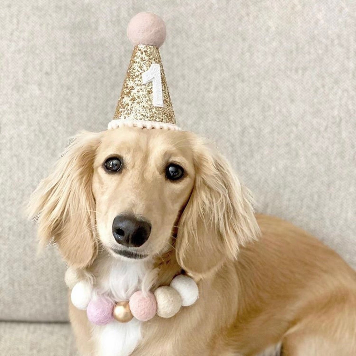 Pet Party Hat Dog Birthday Party Hat Dog Party Hat Dog - Etsy