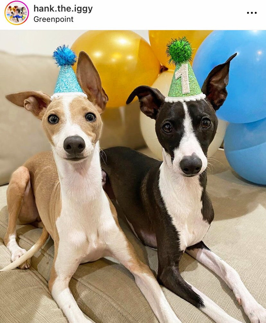 Pet Party Hat Mini Cat Birthday Party Hat Mini Cat Party Hat Dog ...