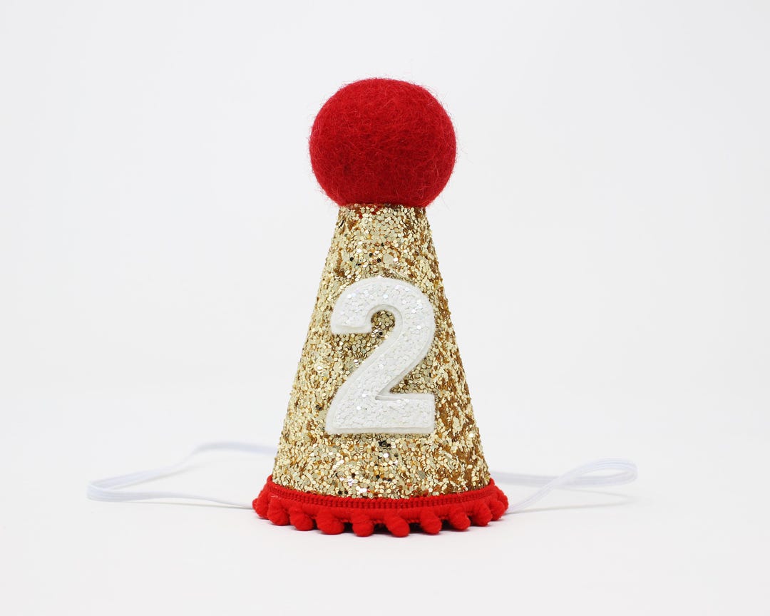 2nd Birthday Party Hat | Second Birthday Hat | 2nd Birthday Girl Boy ...