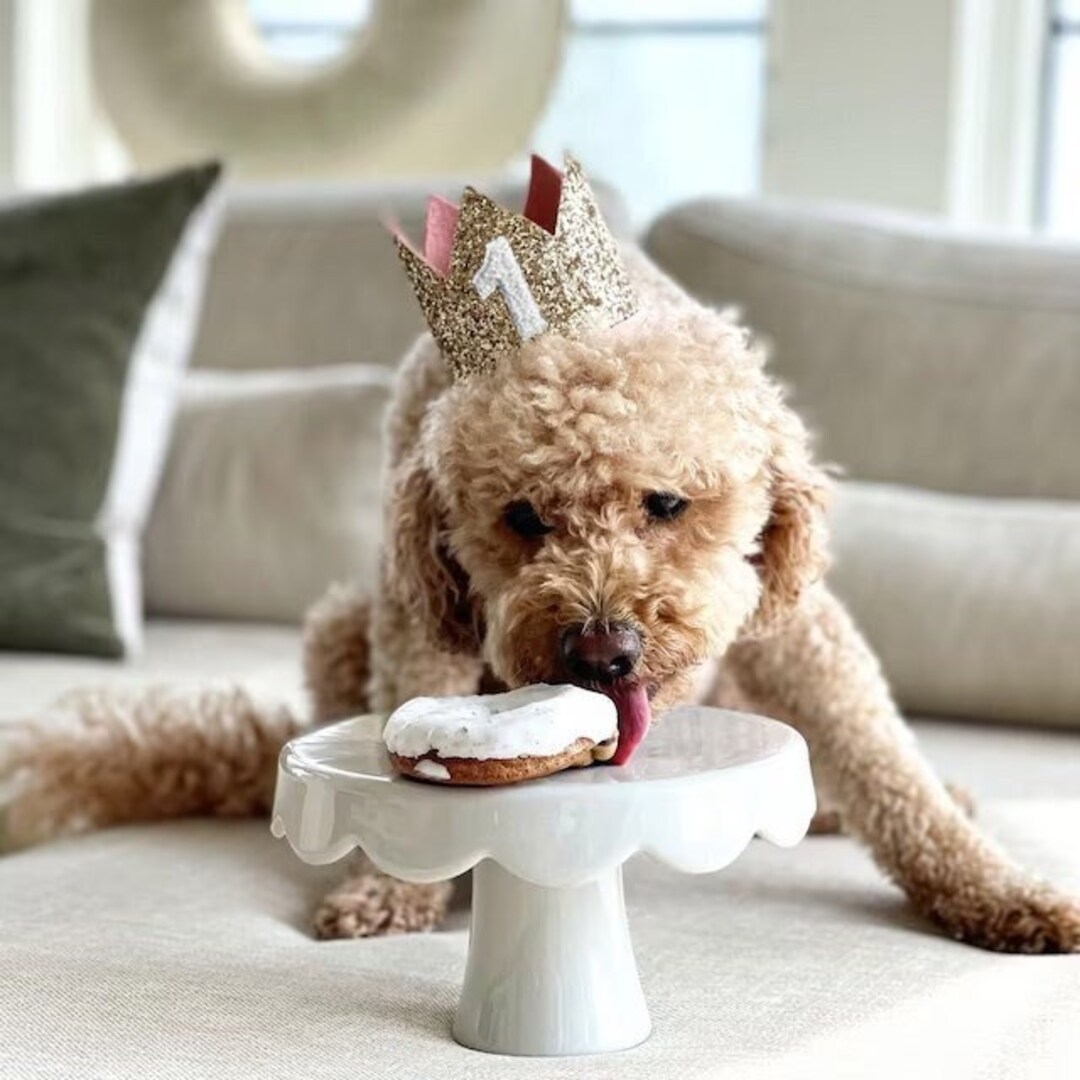 Dog Birthday Crown Pet Birthday Crown Dog Crown Pet Crown Dog Party Hat ...