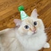 Pet Party Hat Mini Cat Birthday Party Hat Mini Cat Party - Etsy