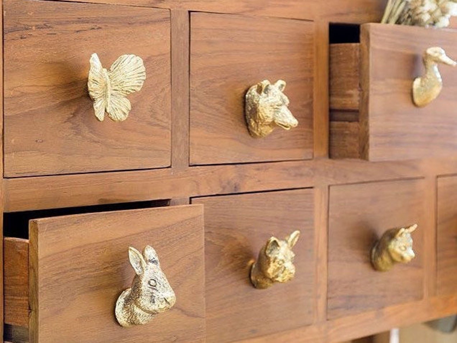 Brass Wolf Knob Animal Knob Door Knob Solid Brass Brass - Etsy