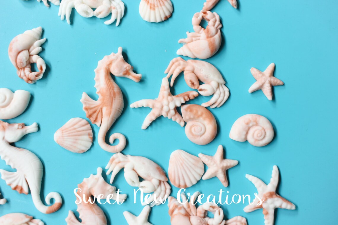 Fondant Sea Horse 35pcs Sea Shell Fondant Topper Beach Cake | Etsy