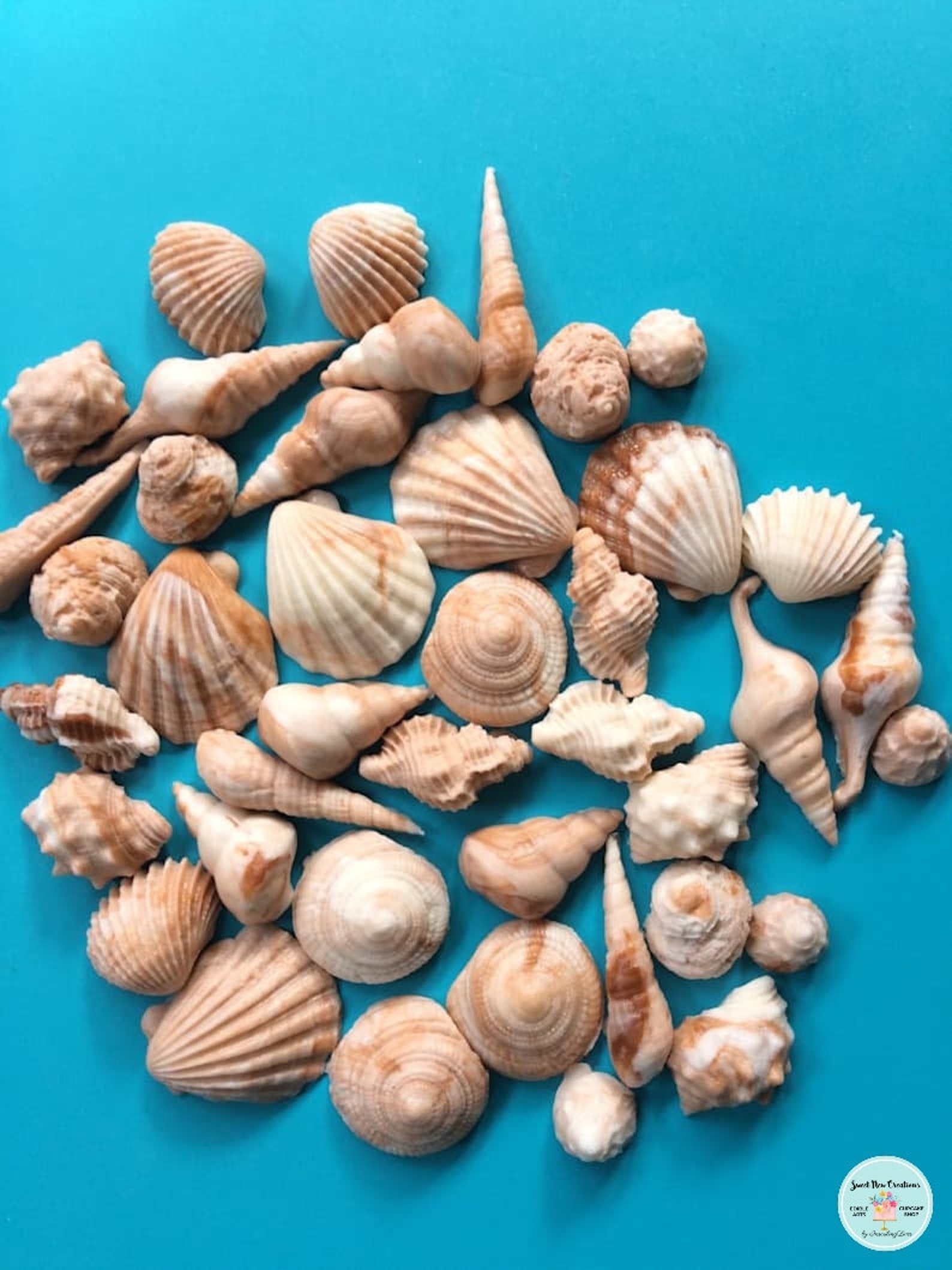 Sea Shell Fondant Topper 50pcs Beach Cake Topper Beach Cupcake Toppers ...