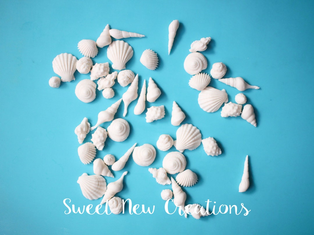 Sea Shell Fondant Topper 50pcs Beach Cake Topper Beach Cupcake Toppers ...