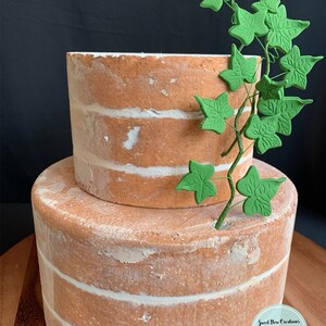 Rustic Naked Ivy Vine Cake Decorations Wedding, Baby Shower Edible ...