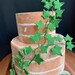 Rustic Naked Ivy Vine Cake Decorations Wedding, Baby Shower Edible ...