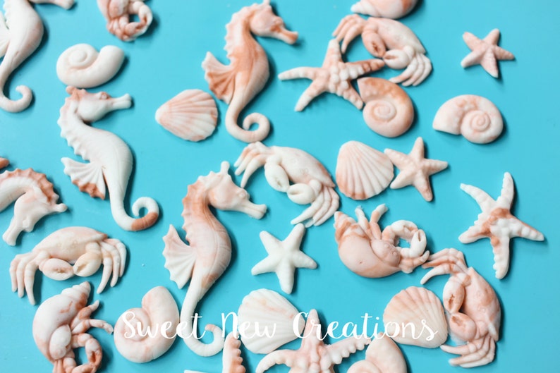 Fondant Sea Horse 35pcs Sea Shell Fondant Topper Beach Cake - Etsy