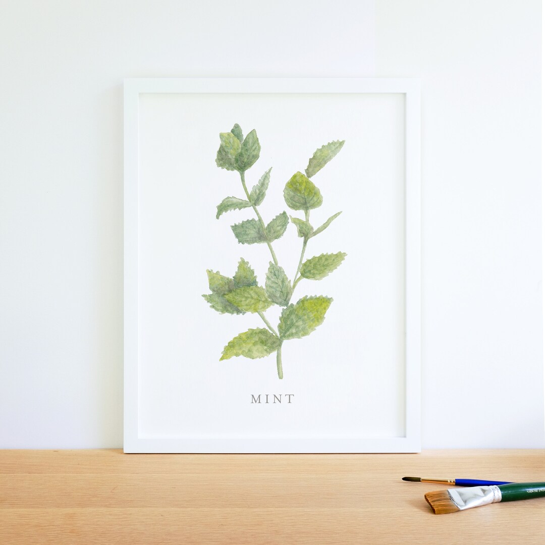 Watercolor Mint Herb Painting Art Print, Kitchen Decor - Etsy