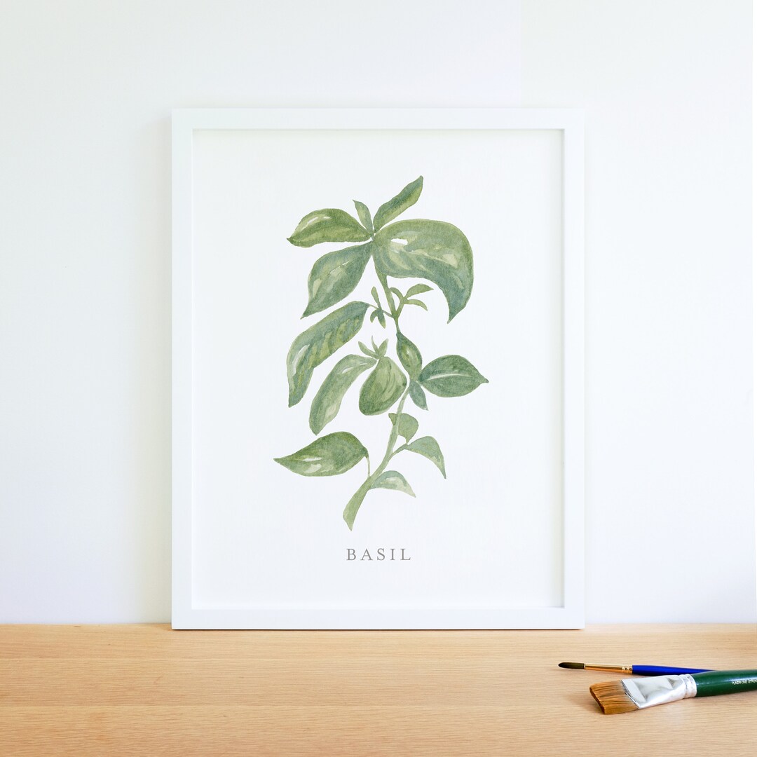 Watercolor Basil Herb Painting Art Print, Kitchen Decor - Etsy