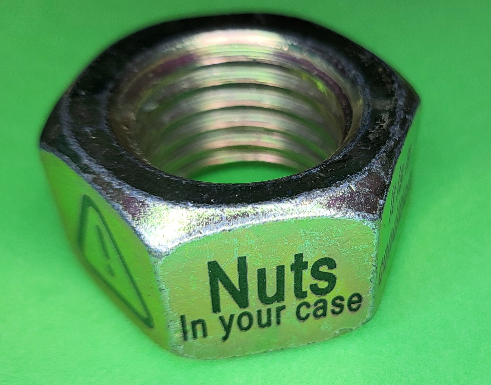 Funny Nuts: Nuts in Your Case - It is a Condition - Etsy