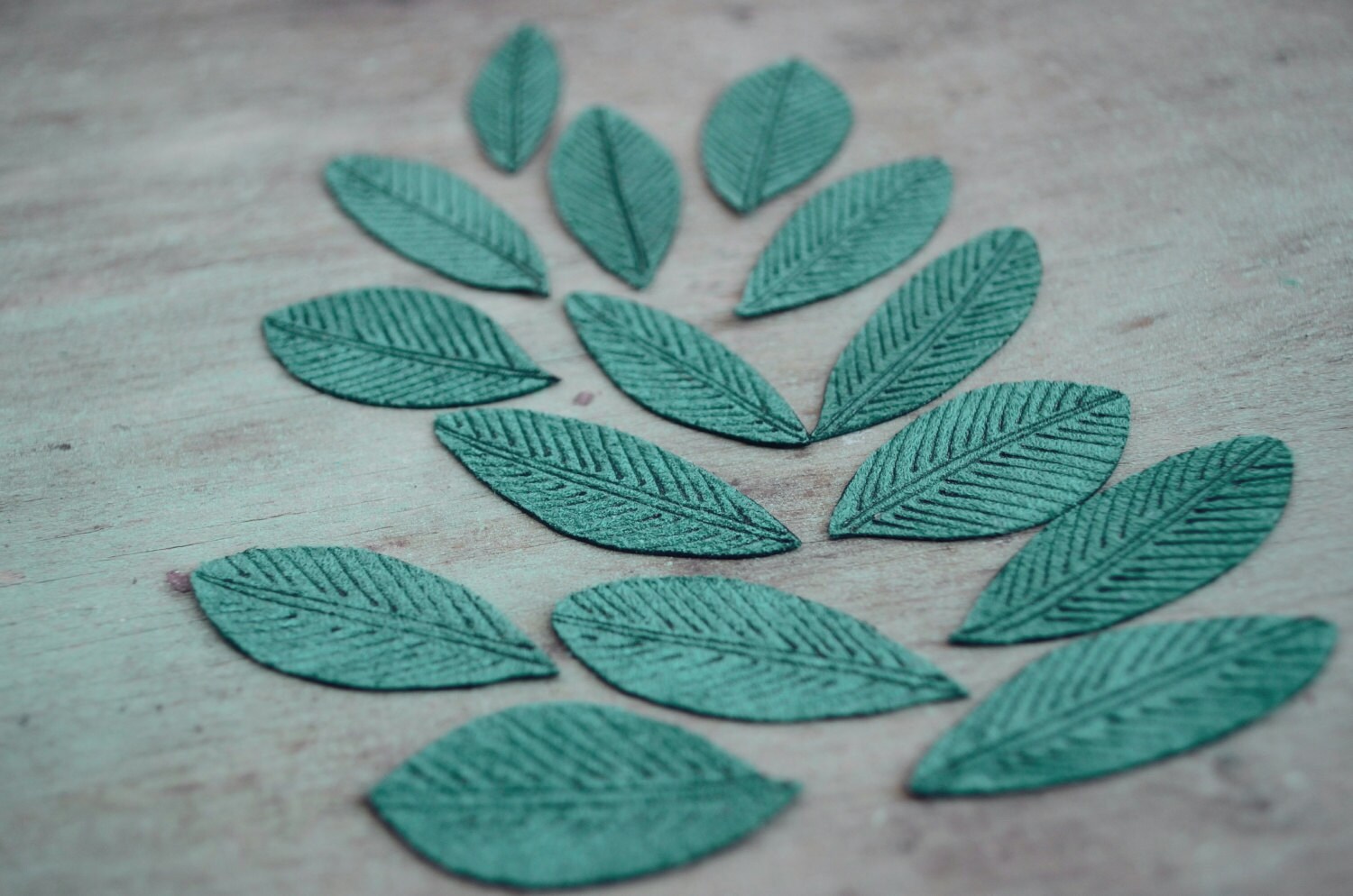 Leaves Iron on patches jacket botanical No sew applique green | Etsy