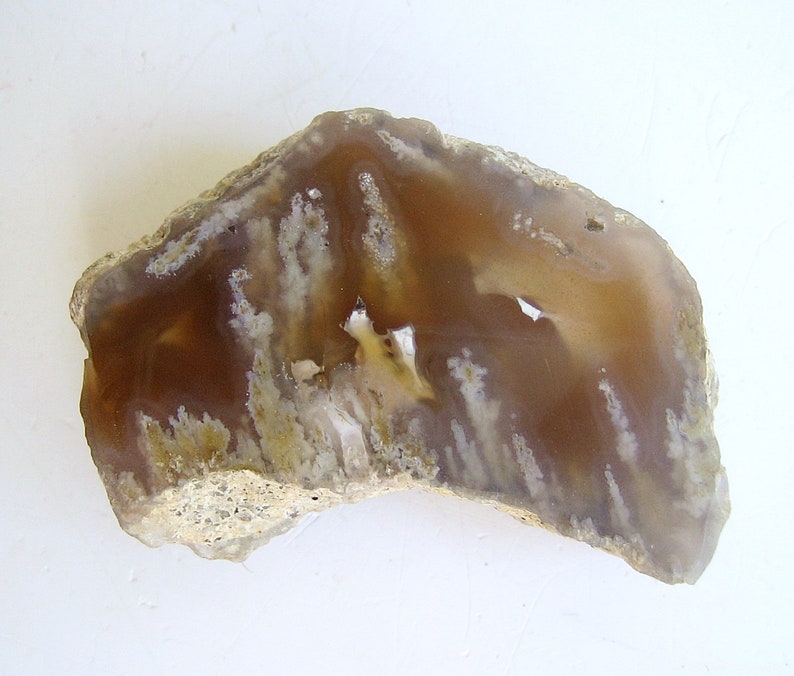 Tube Agate Rough Nodule Display Specimen Nipomo CA White - Etsy