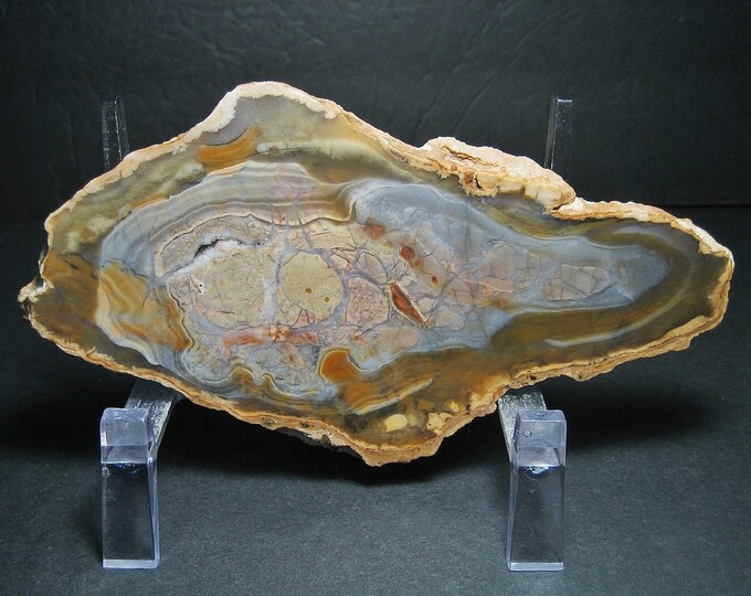 Chapenite Brecciated Jasper Geode/nodule, With One Partially Polished ...