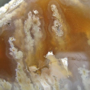 Tube Agate Rough Nodule, Display Specimen, Nipomo, CA, White Tubes ...