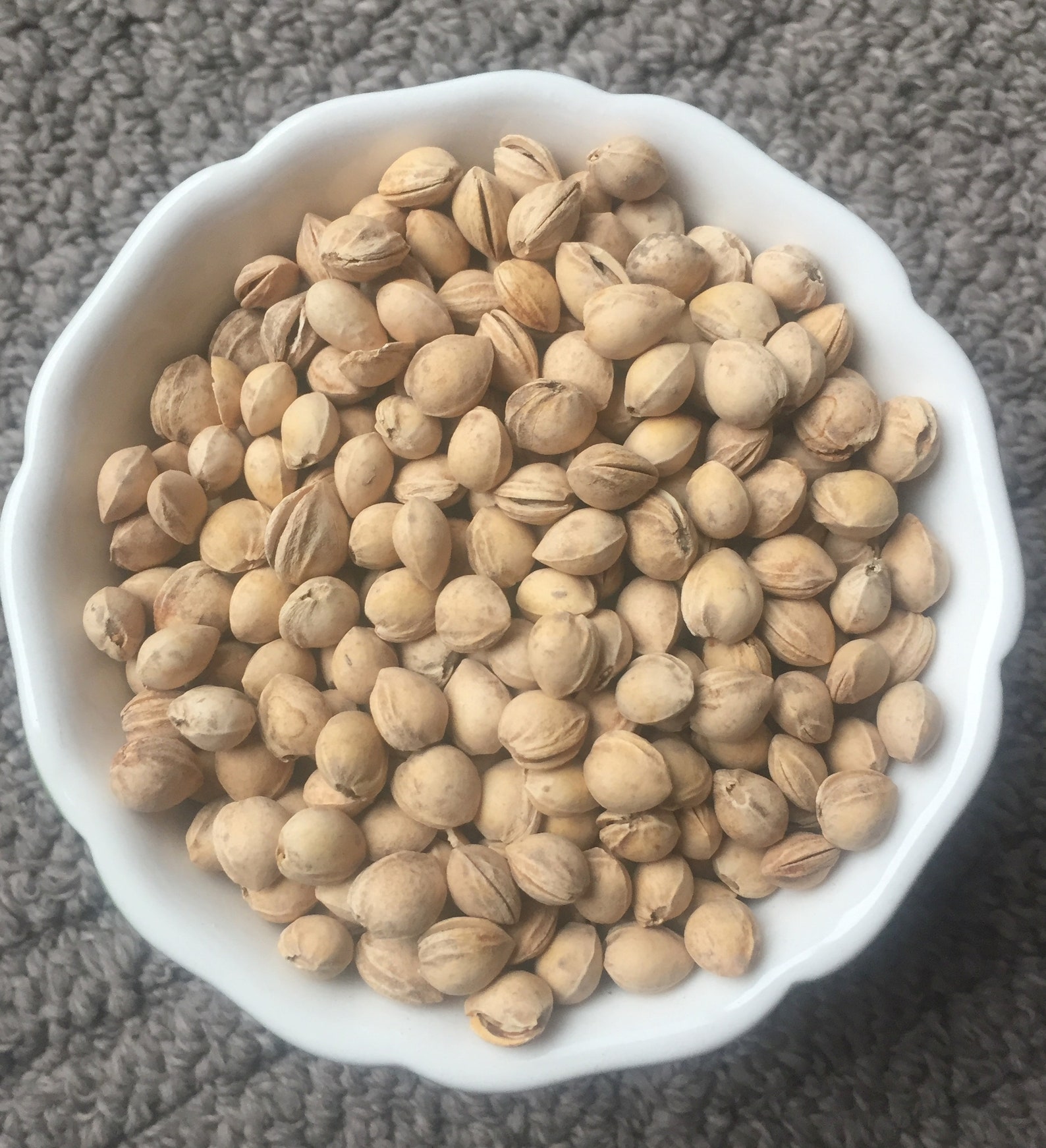 Cherry Pit Heating Pad Set, Cherry Pit Packs, Fern, Hot Cold Pack Sets ...