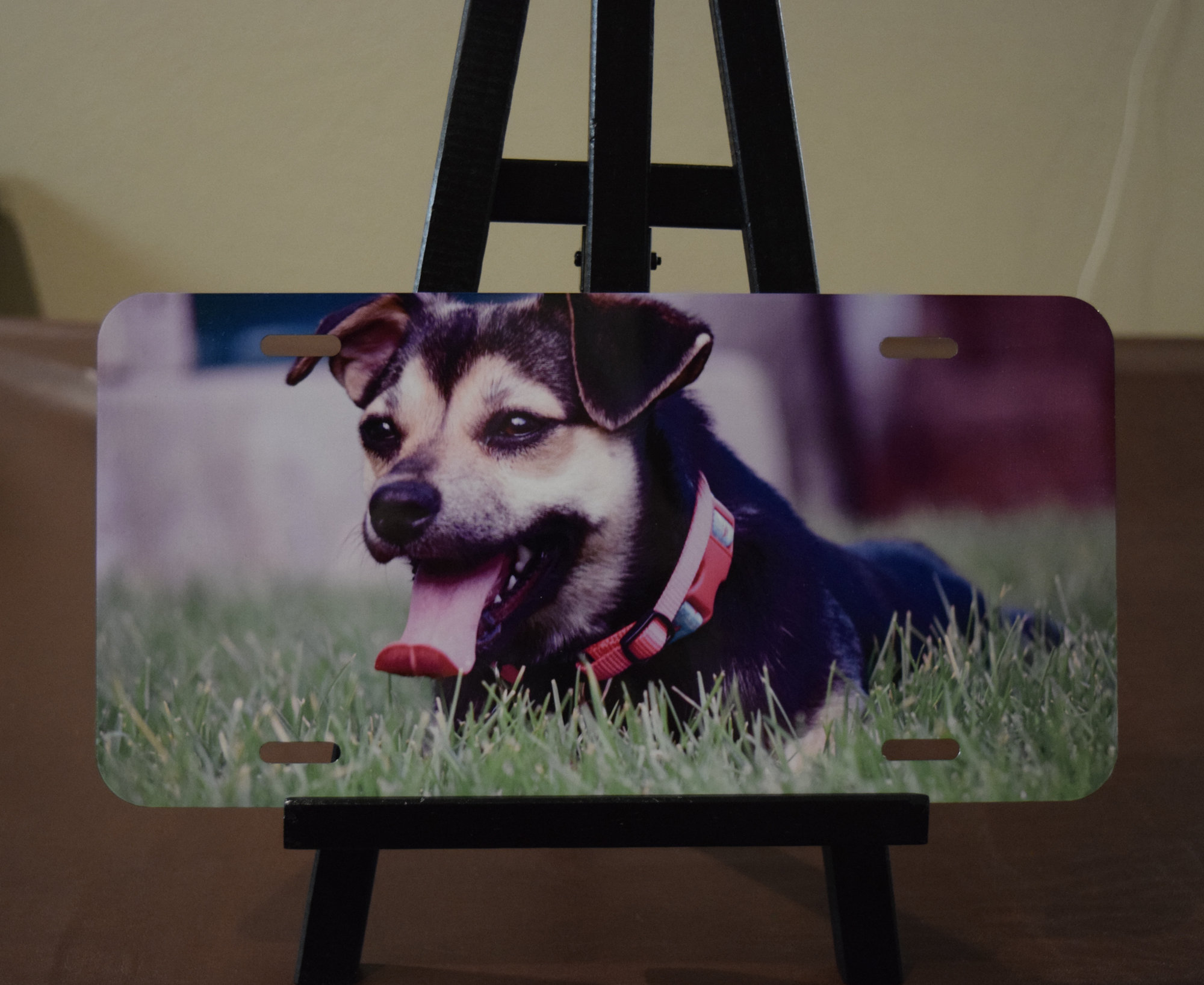 Phteven Dog License Plate