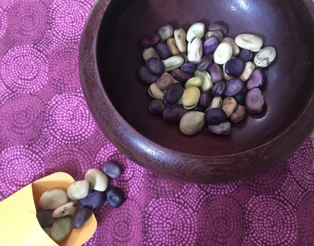 San Luis Valley & Purple Guatemalan Fava Bean Mix - Etsy