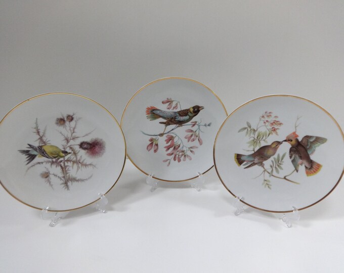 Plates Set of Three Plates Bird Plates Bavaria Plates. - Etsy