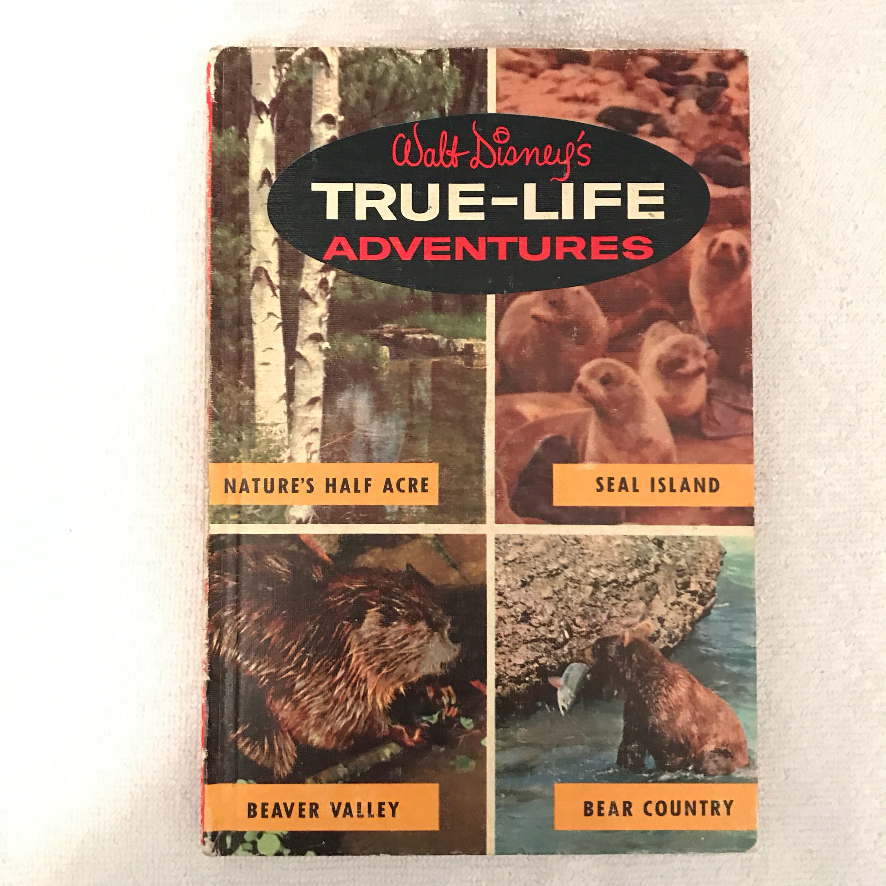 Vintage True Life Adventures Book Etsy Vintage True Life Adventures Book Etsy