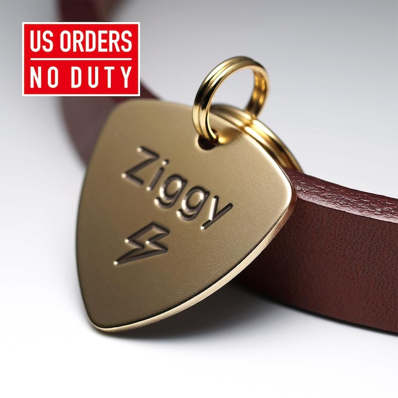 Guitar With Dog - Etsy UK