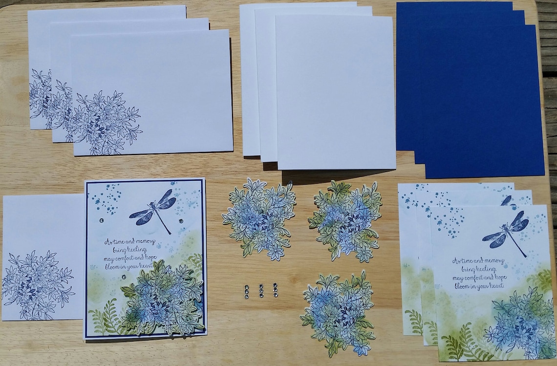 Handmade SYMPATHY Card Kit, STAMPIN' UP! Awesomely Artistic, Dragonfly ...