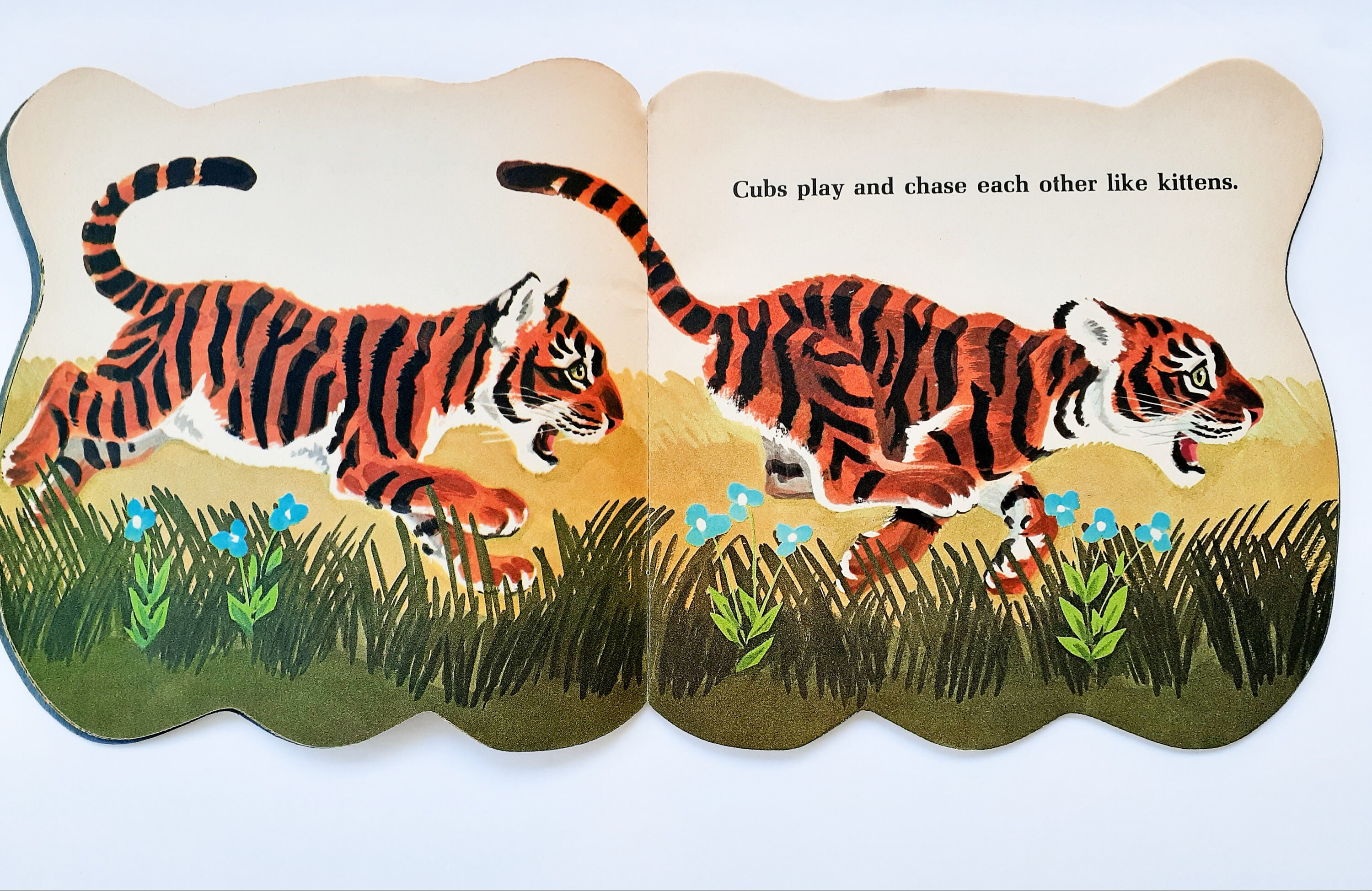 The Tiger Book, Jan Pfloog, 1965, Vintage Golden Shape, 1960s, Children ...