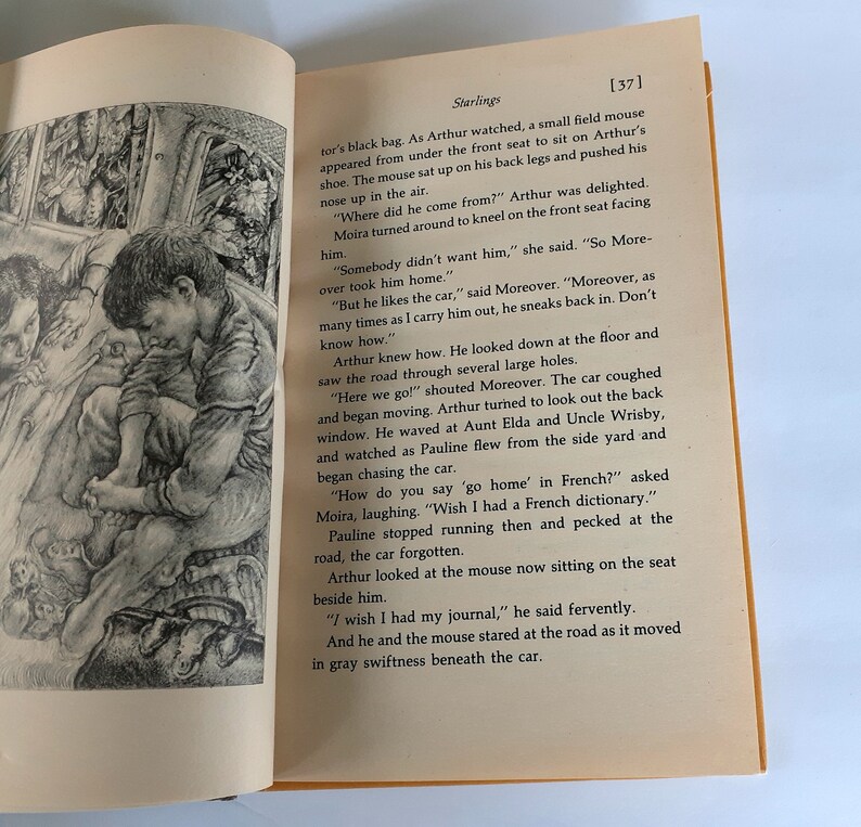 Arthur for the Very First Time, Patricia Maclachlan, Weekly Reader Book ...