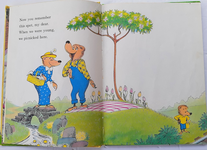 The Bears' Picnic Stan and Jan Berenstain 1966 Vintage - Etsy