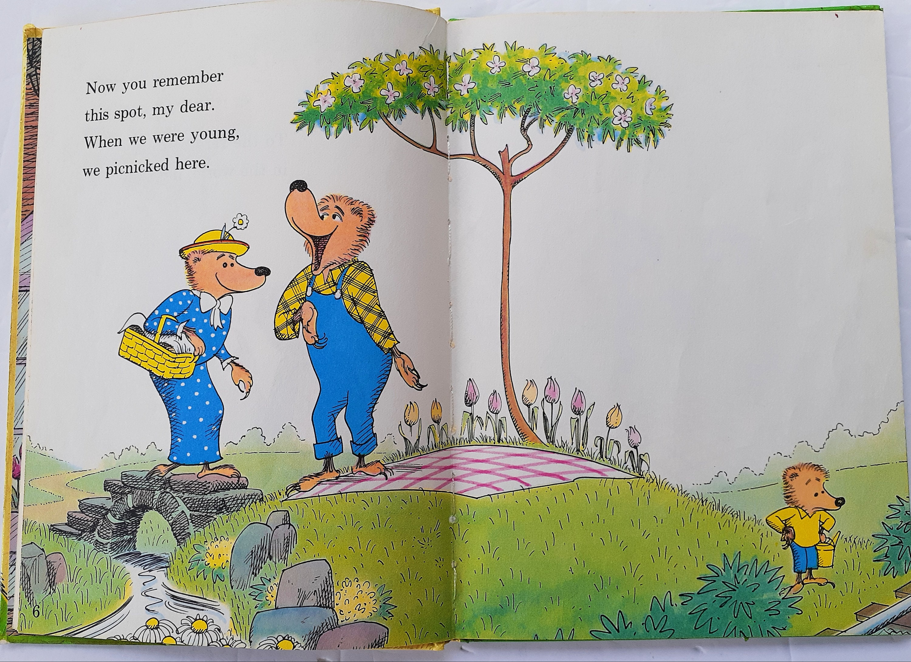 The Bears' Picnic Stan and Jan Berenstain 1966 Vintage - Etsy