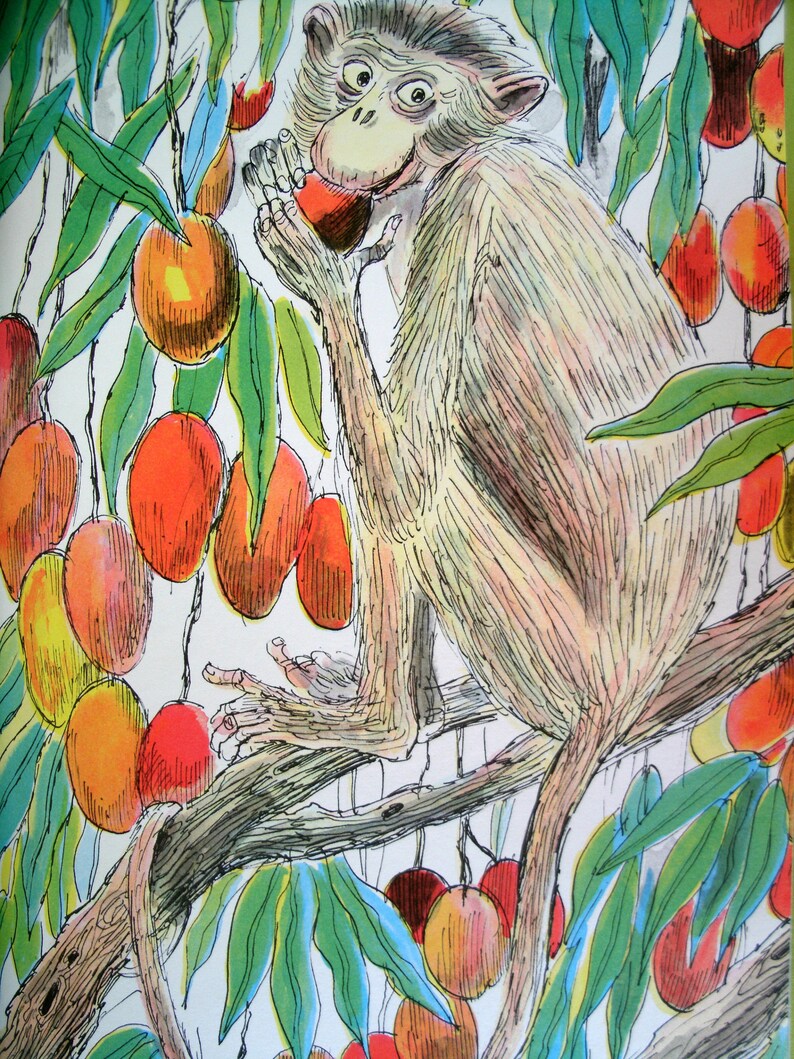 The Monkey and the Crocodile, Paul Galdone, Vintage 1960s Children's ...