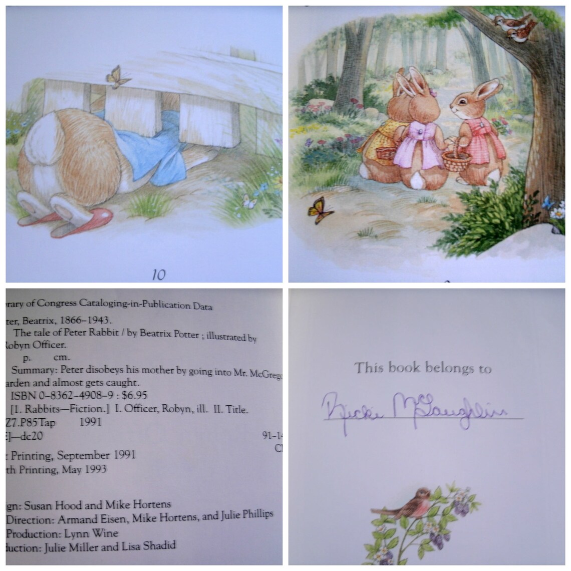 The Tale of Peter Rabbit Beatrix Potter Robyn Officer | Etsy