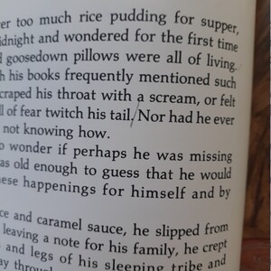 A Mouse Called Junction, Julia Cunningham, 1980, Vintage 80s Kids Book ...