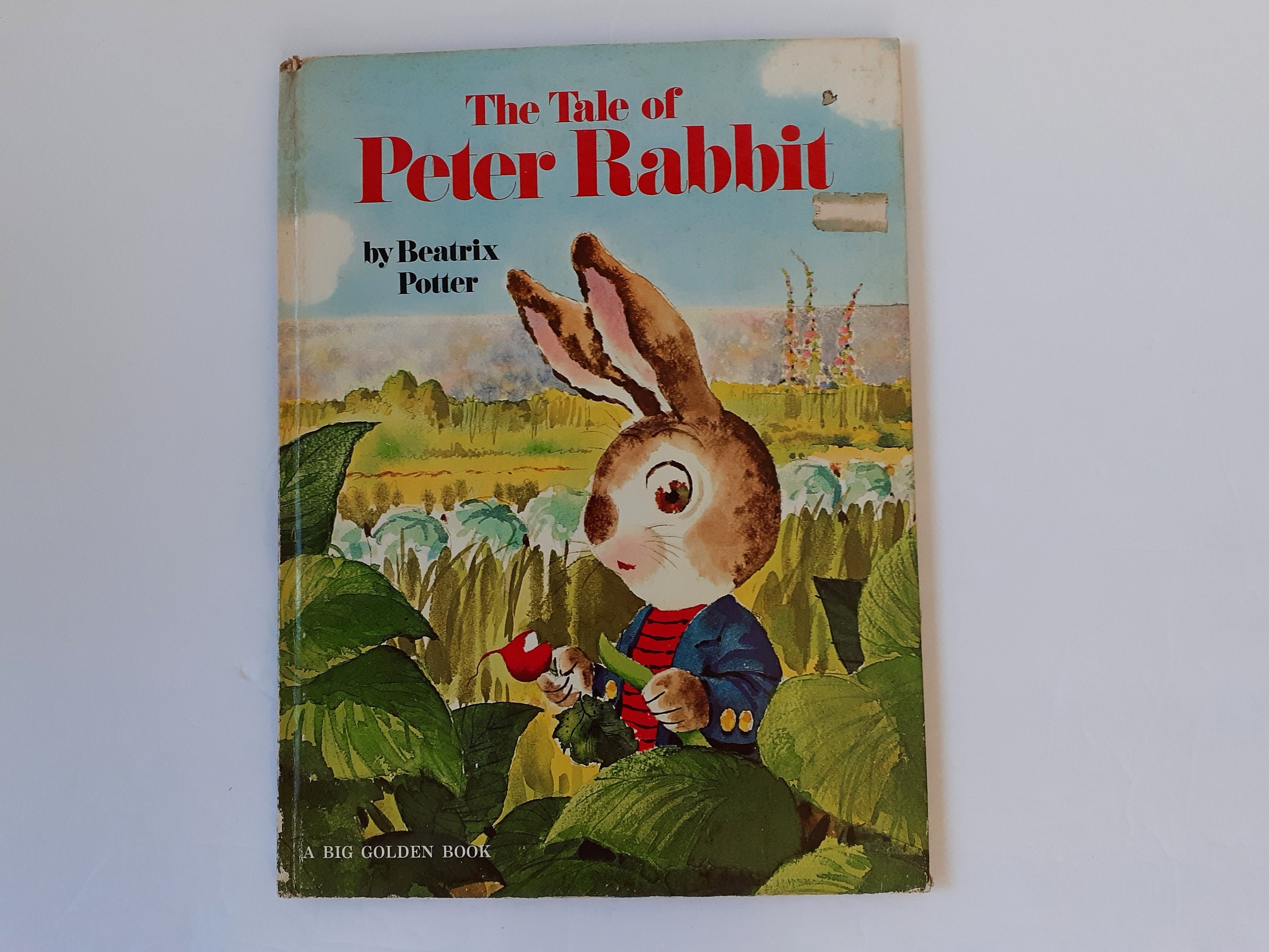 Peter Rabbit Book Cover